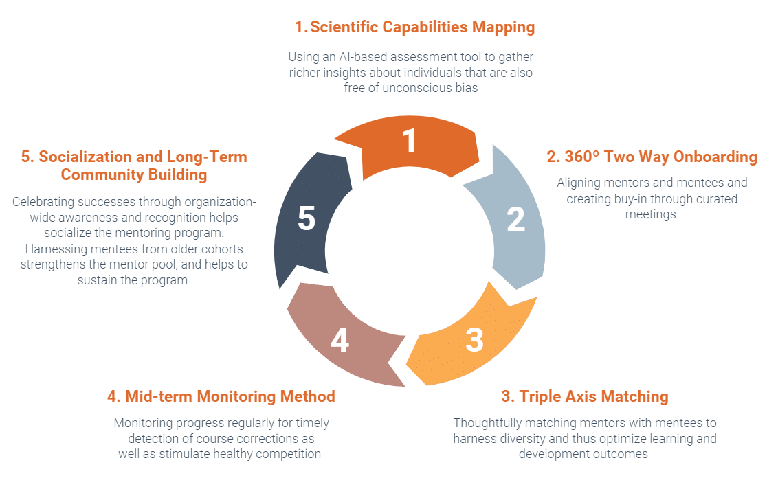 How a Structured Approach to Mentoring Significantly Elevates Business ...